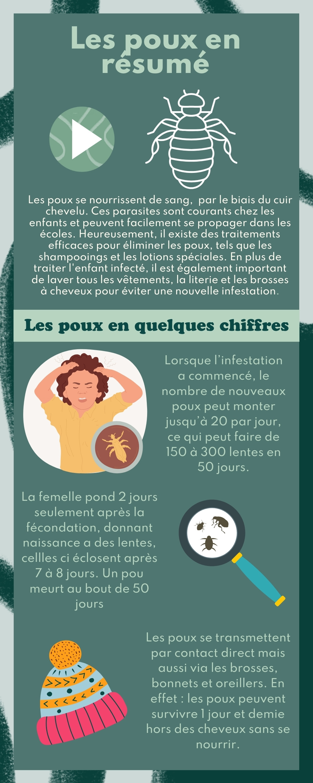 Top 5 des meilleurs produits anti poux - Le blog Easypara
